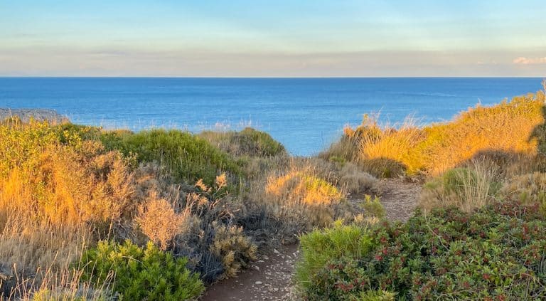 Birds, Birding Trips and Birdwatching Tours in Rhodes - Fat Birder