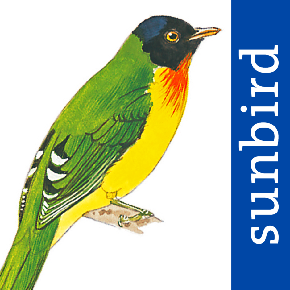 Birds, Birding Trips and Birdwatching Tours in Bolivarian Republic of ...