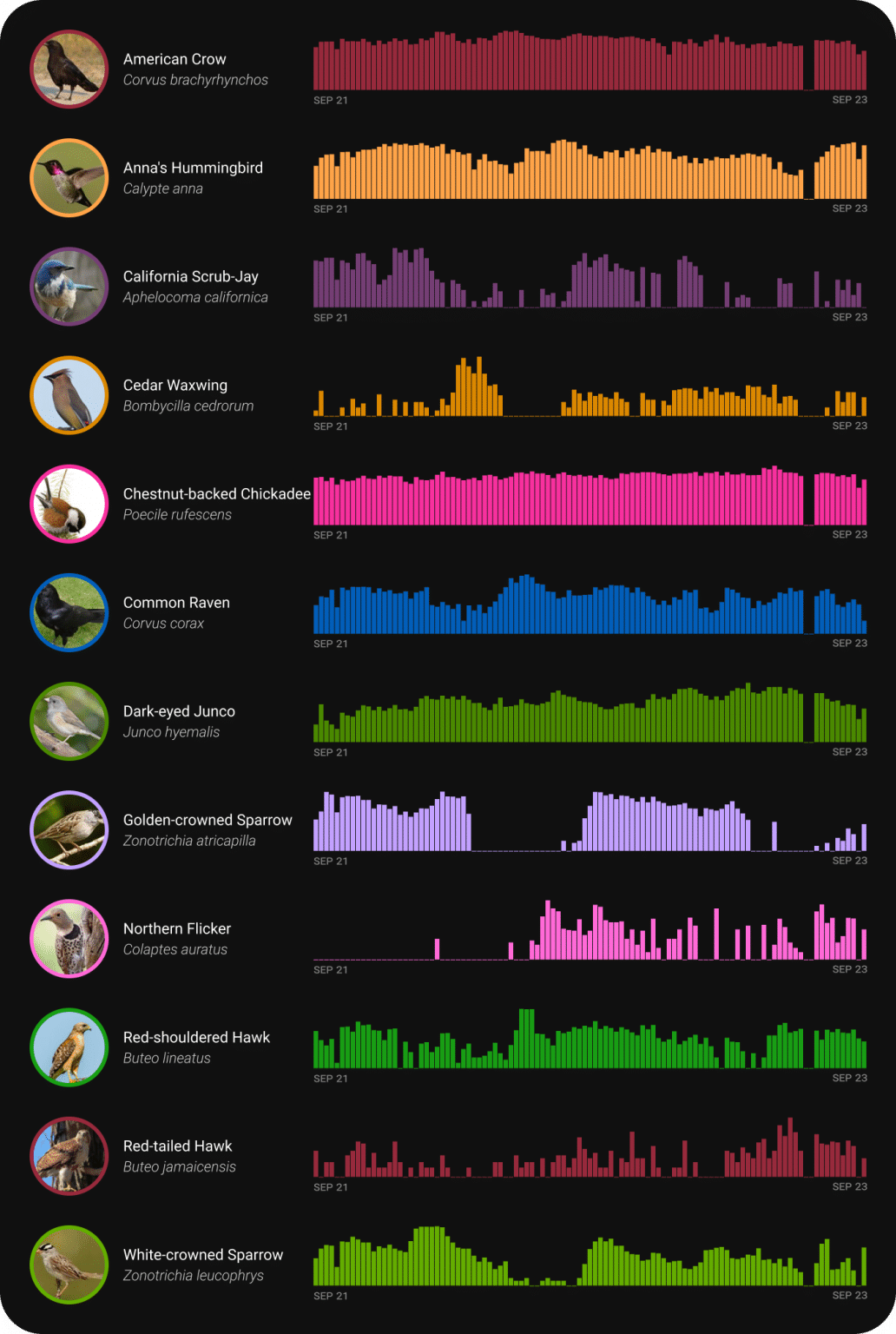 Birding, Birdwatching & Bird Articles Introducing BirdWeather and ...