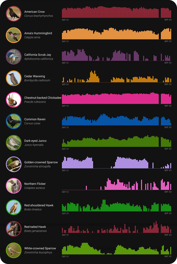 Birding, Birdwatching & Bird Articles Introducing BirdWeather and ...