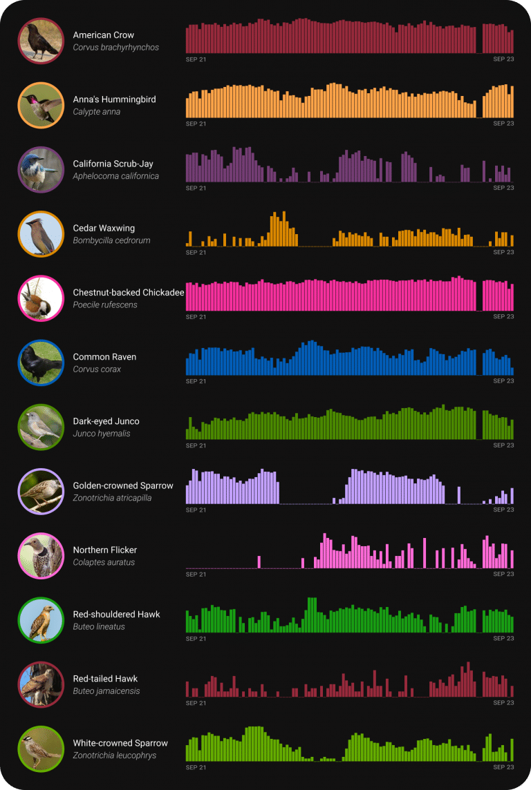 Birding, Birdwatching & Bird Articles Introducing BirdWeather and ...