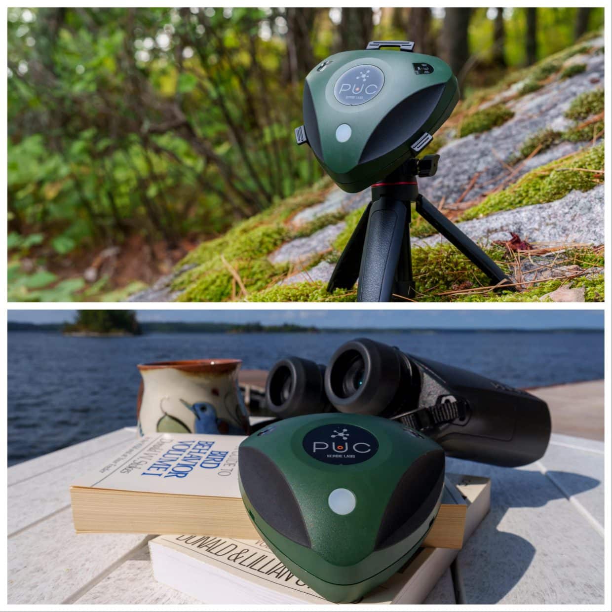 Birding, Birdwatching & Bird Articles Introducing BirdWeather and ...