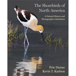 Book, Binocular and Clothing Reviews - The Shorebirds of North America ...